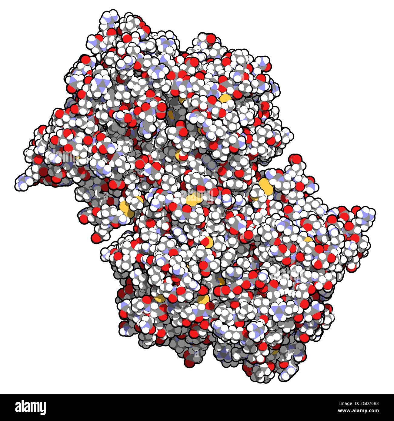 Myeloperoxidase enzyme. 3D Illustration Stock Photo - Alamy
