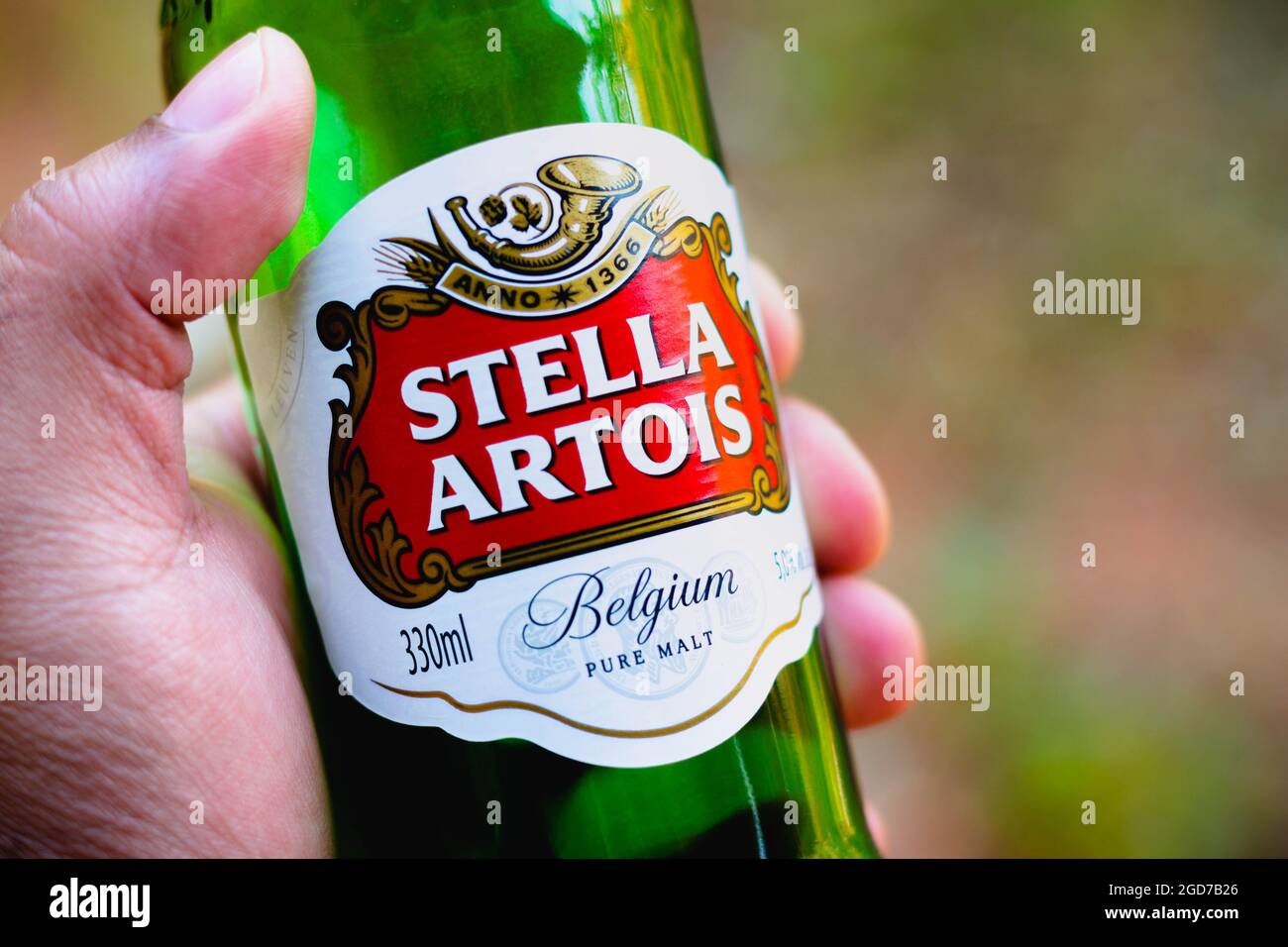 A man holds a Stella Artois beer bottle. It is a premium pilsner beer ...