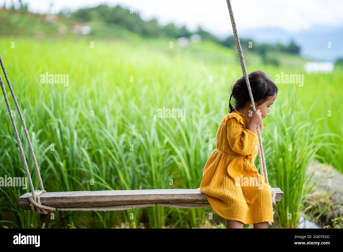 Cute Asian small girl sitting on a swing in a rice paddy field Stock ...