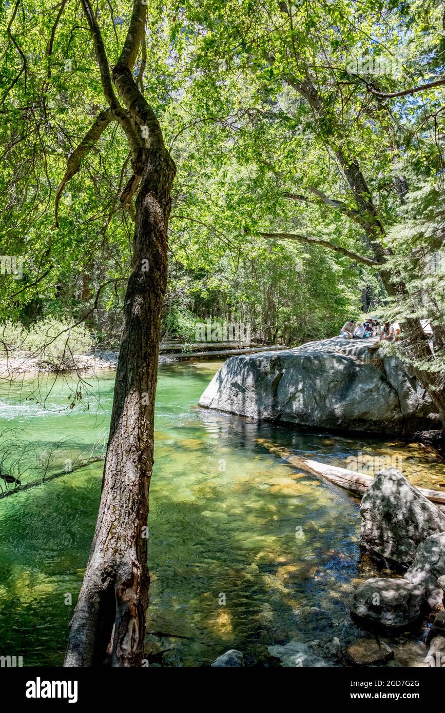 Picnickers enjoy a shady lunch on top of Muir Rock with a view over the ...