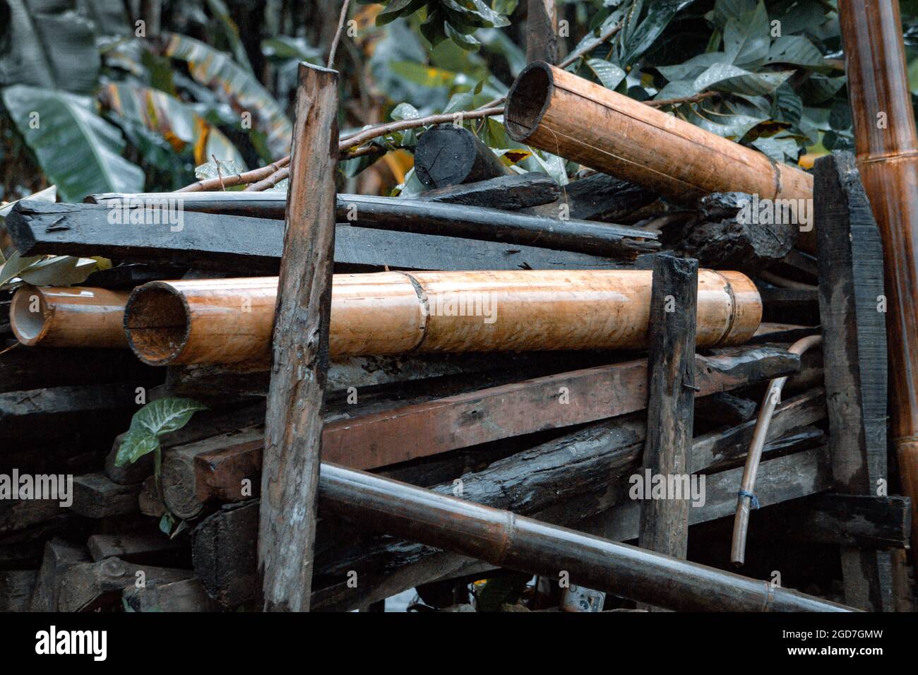 Resource of material building, bamboo and log of jack is most popular ...