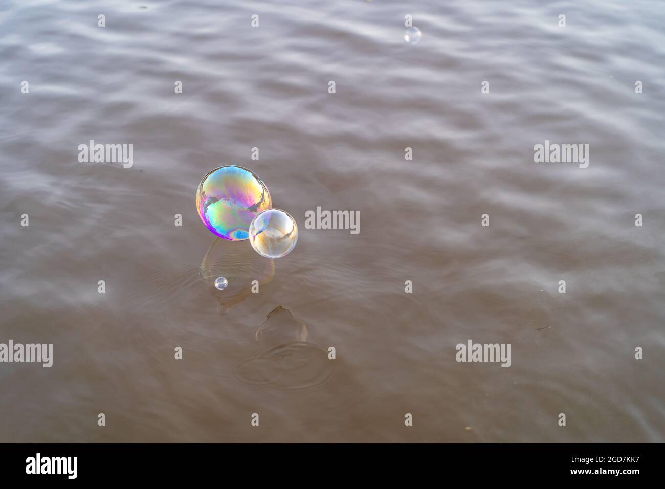 Floating soap bubbles on the water surface Stock Photo - Alamy