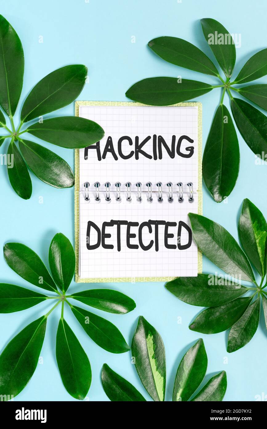 Inspiration showing sign Hacking Detected. Word Written on identify the ...