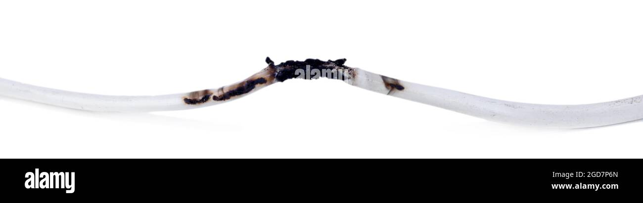 Short circuit, burnt cable, isolated on white Stock Photo - Alamy