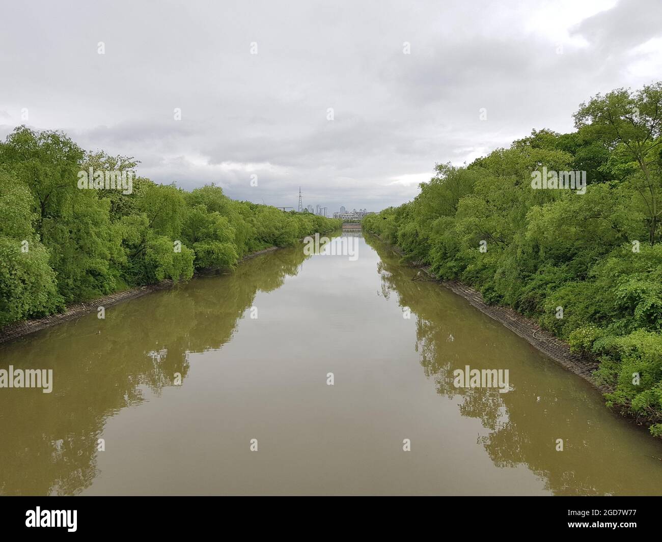 Chocolate brown river water in between foliage on a cloudy morning ...