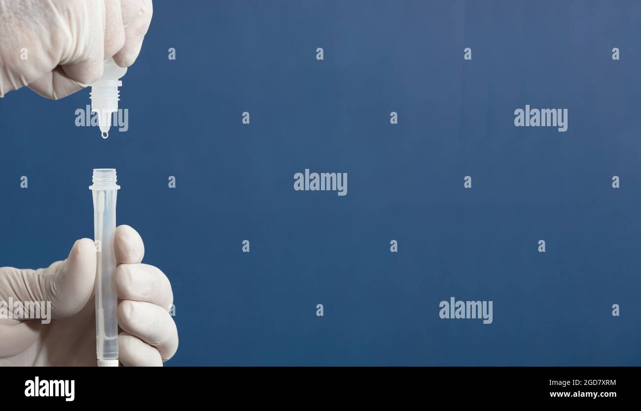 nurse or doctor performs antigen test, with blue background Stock Photo ...