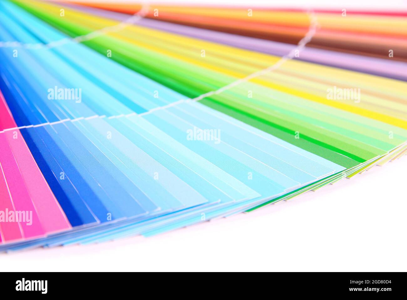 Paper palette close up Stock Photo - Alamy