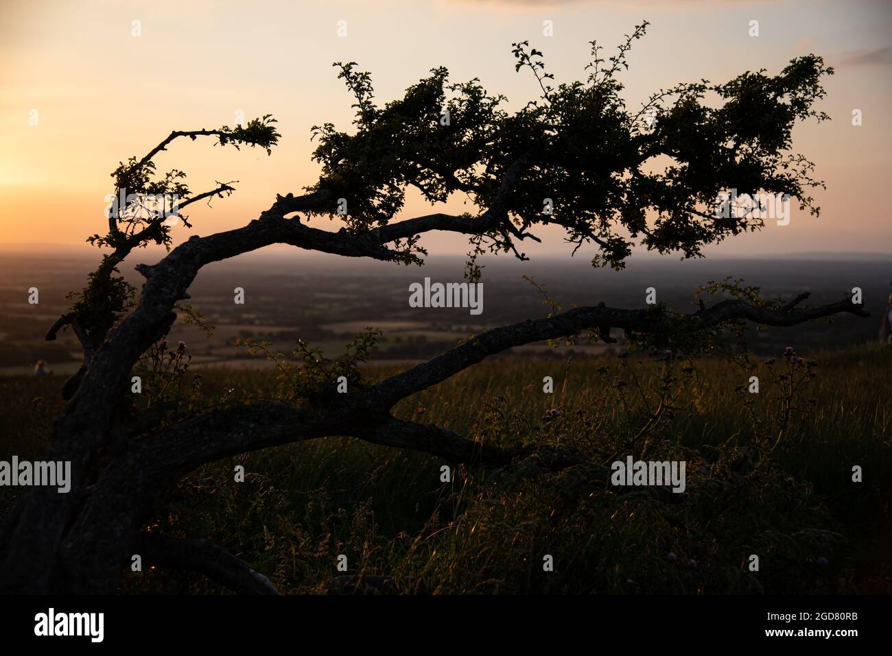 Strong winds countryside uk hi-res stock photography and images - Alamy