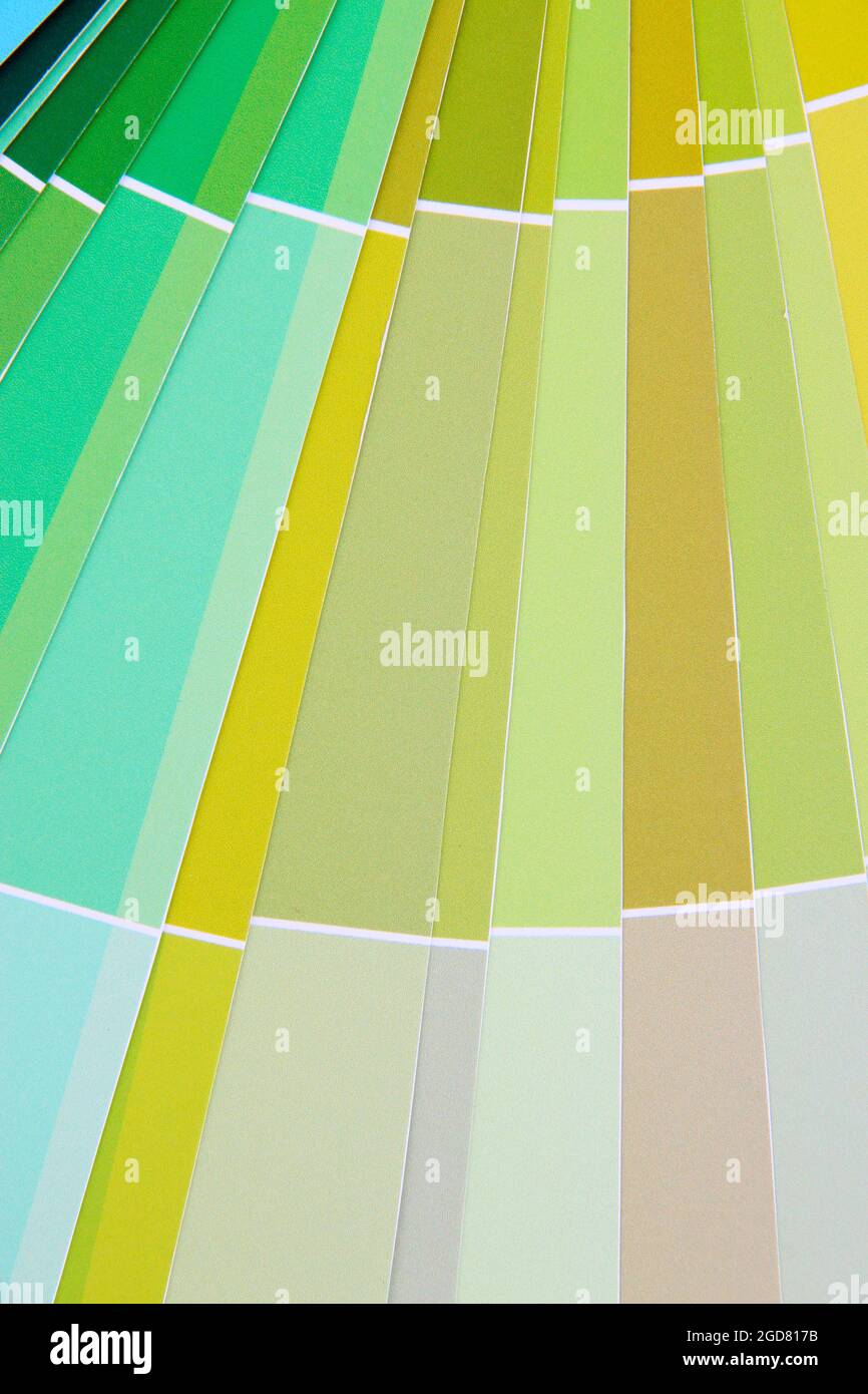 Paper palette close up Stock Photo - Alamy