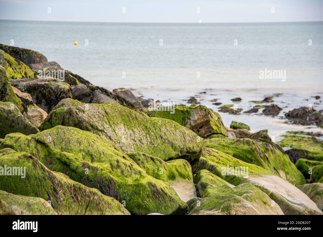 Mossy rocks on the pebble beach in evening, UK Stock Photo - Alamy