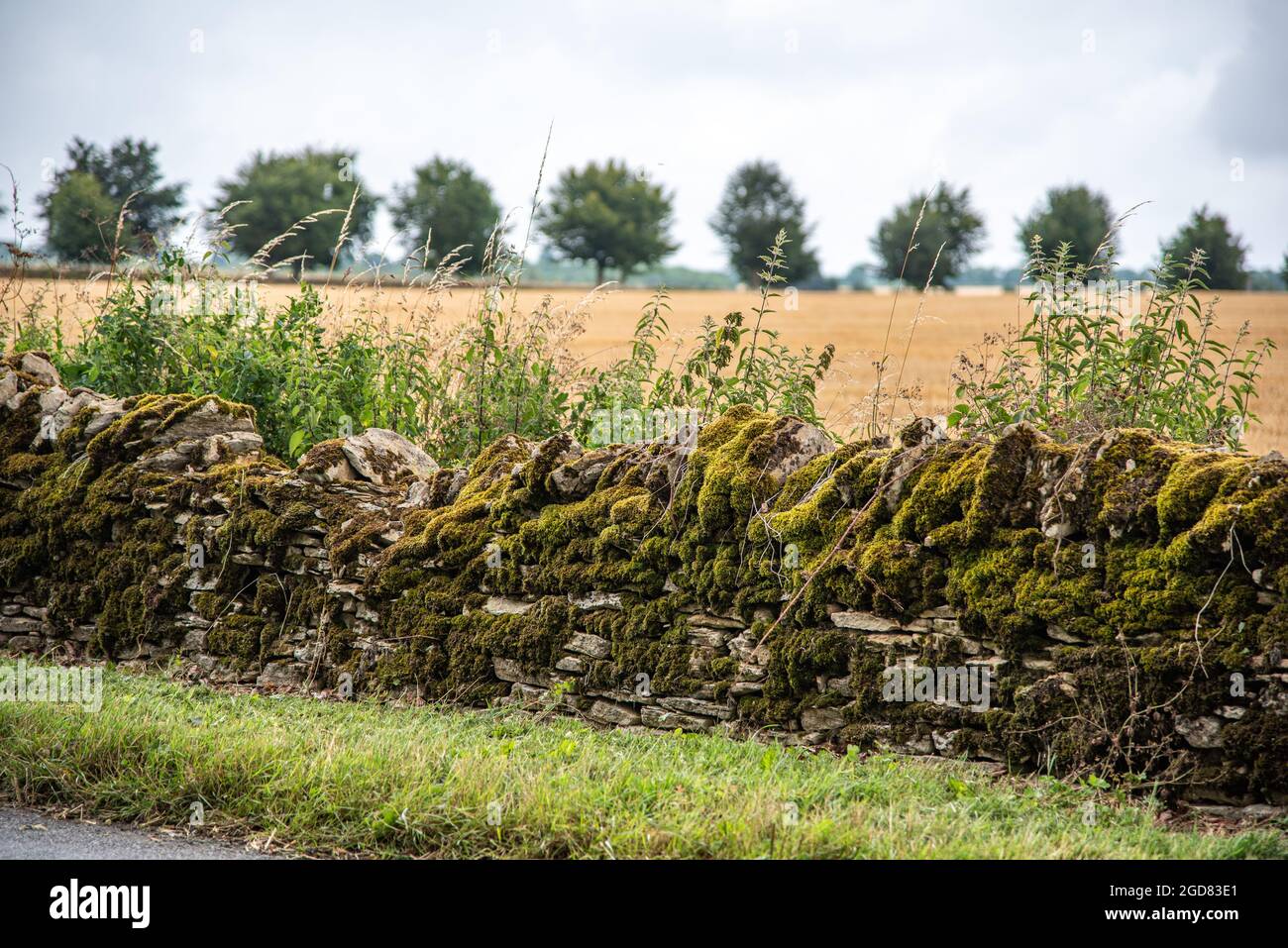 Old brick wall surounding farm land in Cotswold Stock Photo - Alamy