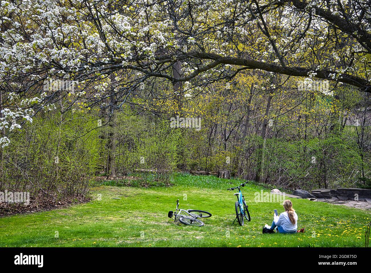 Toronto, Ontario / Canada - 04/27/2021: Rearview of the women browsing ...