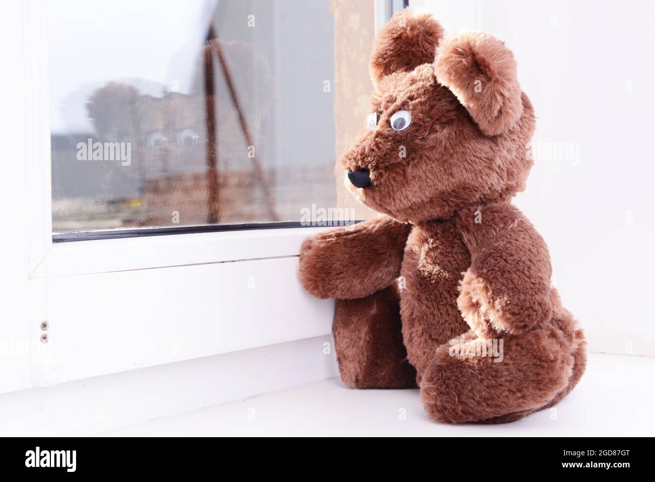 Toy-bear looking out window close-up Stock Photo - Alamy