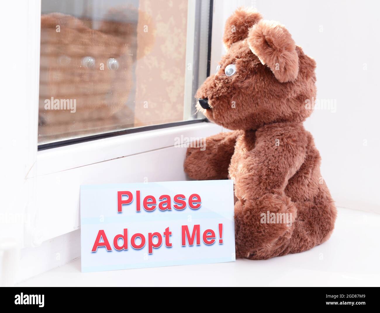 Toy-bear looking out window close-up Stock Photo - Alamy