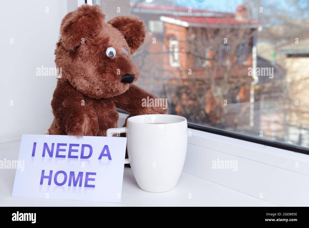 Toy-bear looking out window close-up Stock Photo - Alamy