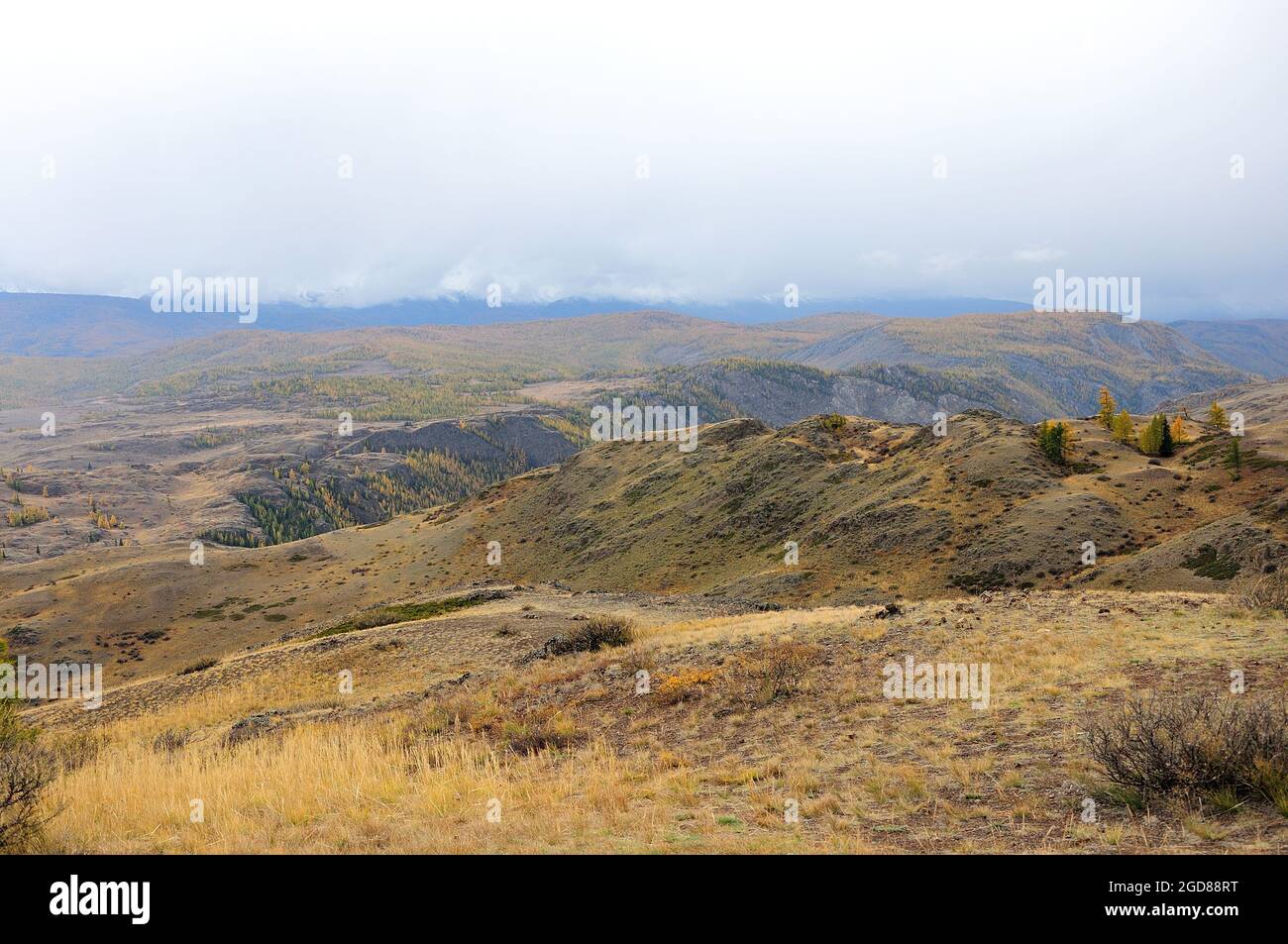 At the top of a high-mountain plateau overgrown with a sparse ...