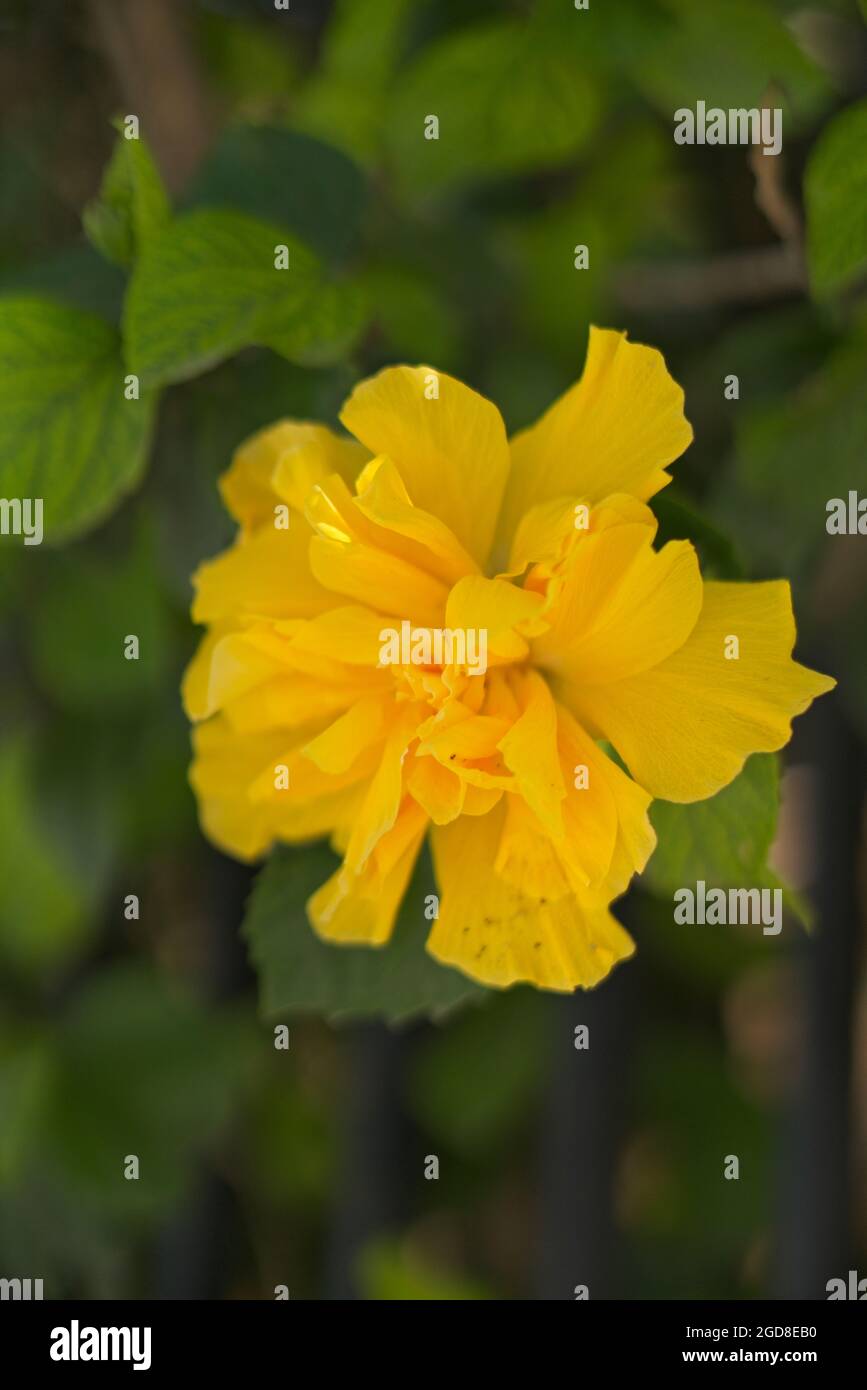 Zenith energy hi-res stock photography and images - Alamy