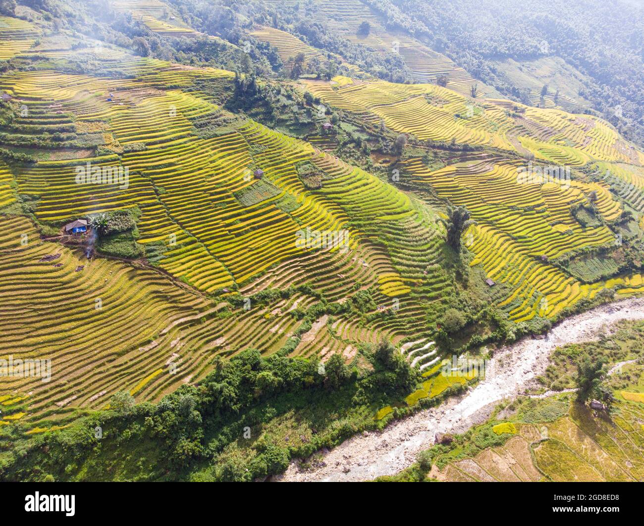 Y ty rice field hi-res stock photography and images - Alamy
