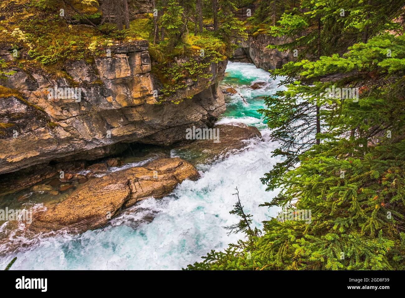 Maligne Canyon Jasper National Park Alberta Canada in summer Stock ...