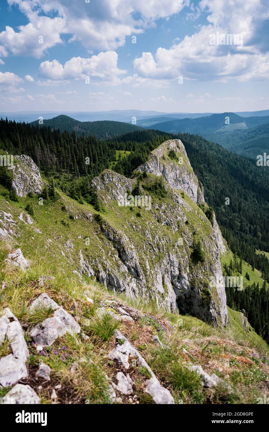 Vertical shot of a vibrant green hill with rocks and thick trees on it ...
