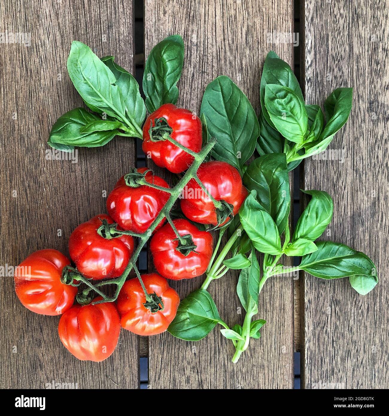 Top view of fresh red tomatoes and spinach leaves on a wooden surface ...