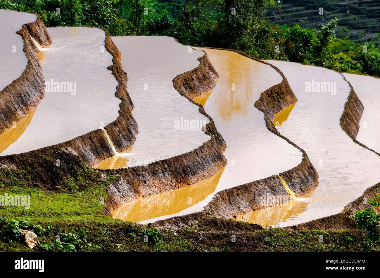 Y Ty nice rice terrace in Lao Cai province northern Vietnam Stock Photo ...