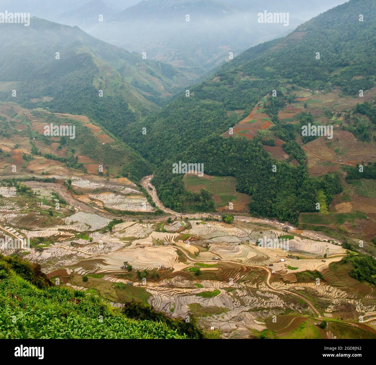 Y Ty nice rice terrace in Lao Cai province northern Vietnam Stock Photo ...