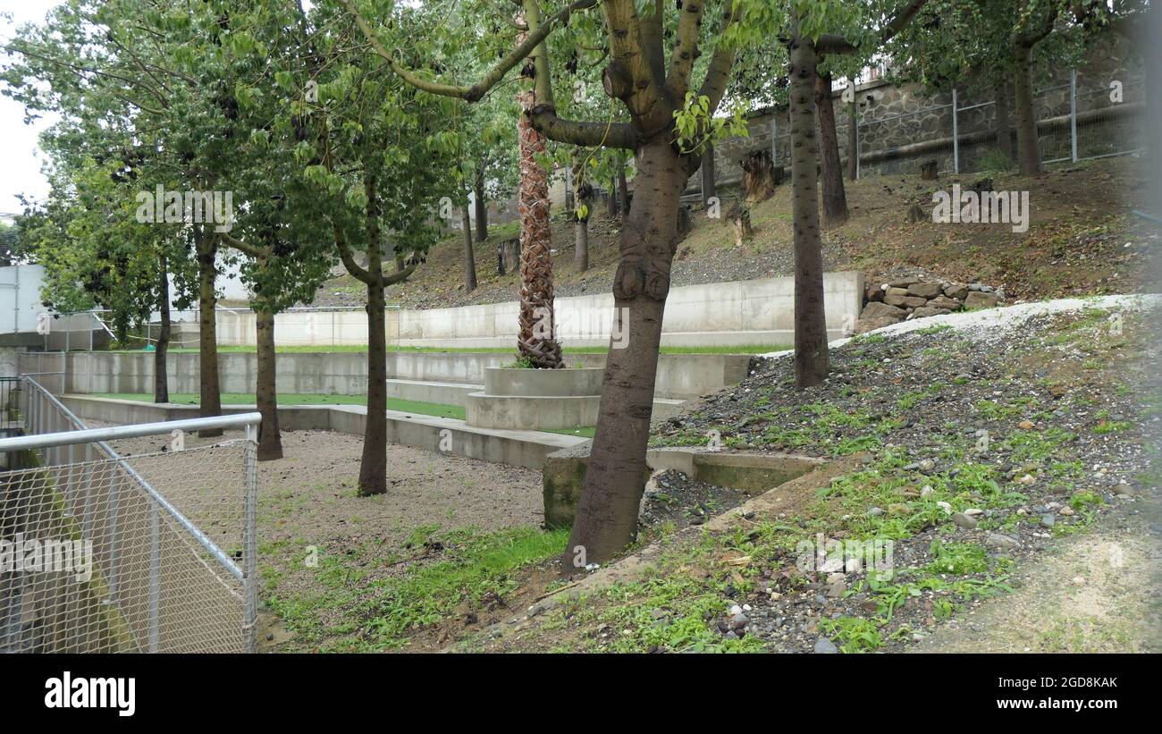 Tree covered outdoor terraced amphi theatre in Andalusian village Stock ...