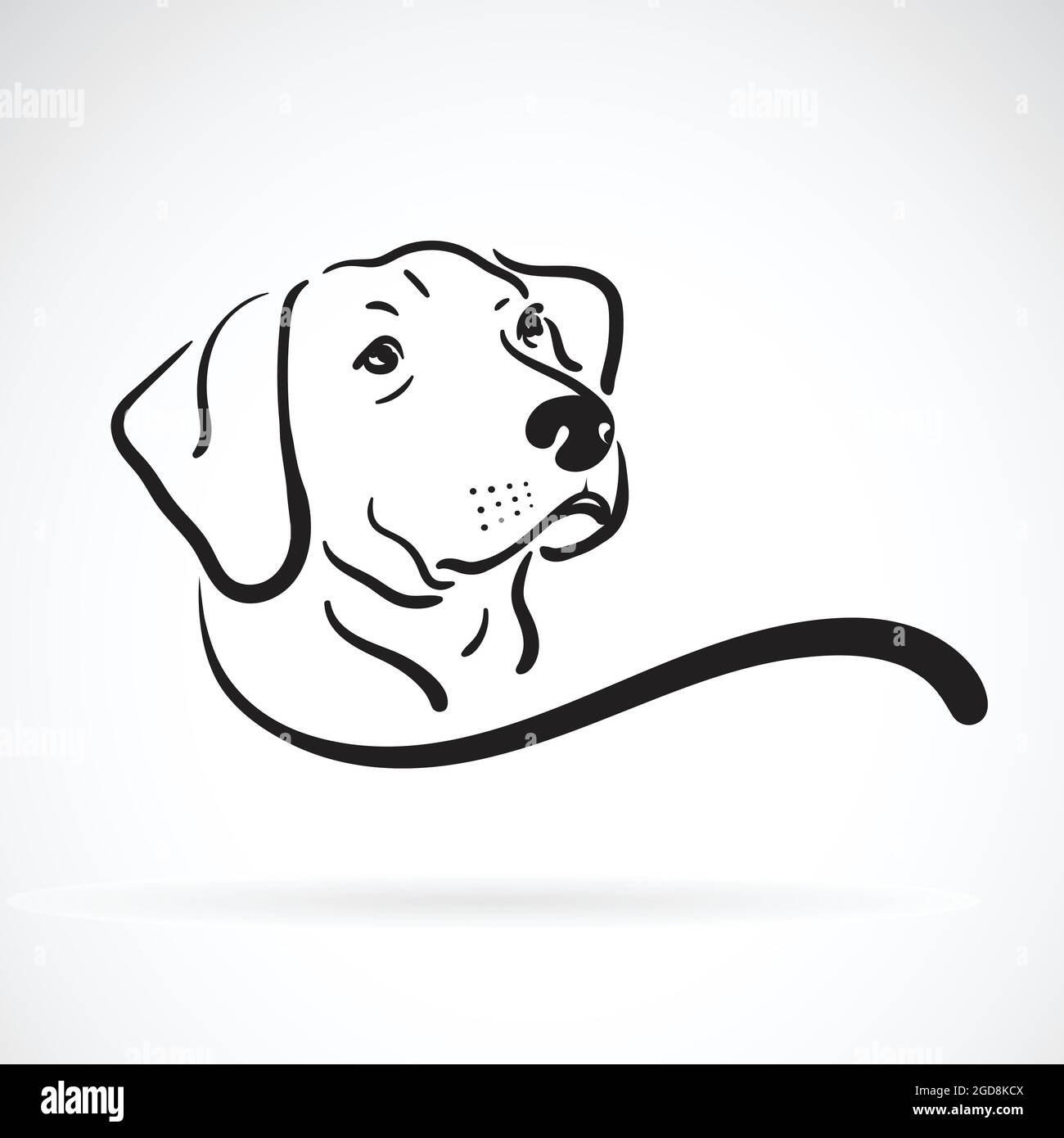 Labrador Retriever Silhouette High Resolution Stock Photography and ...