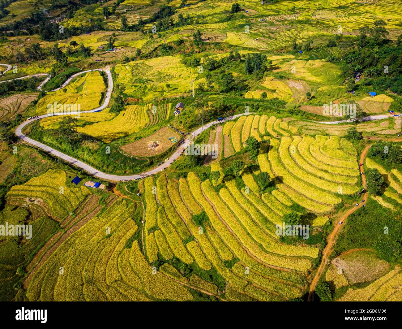 Y Ty nice rice terrace in Lao Cai province northern Vietnam Stock Photo ...