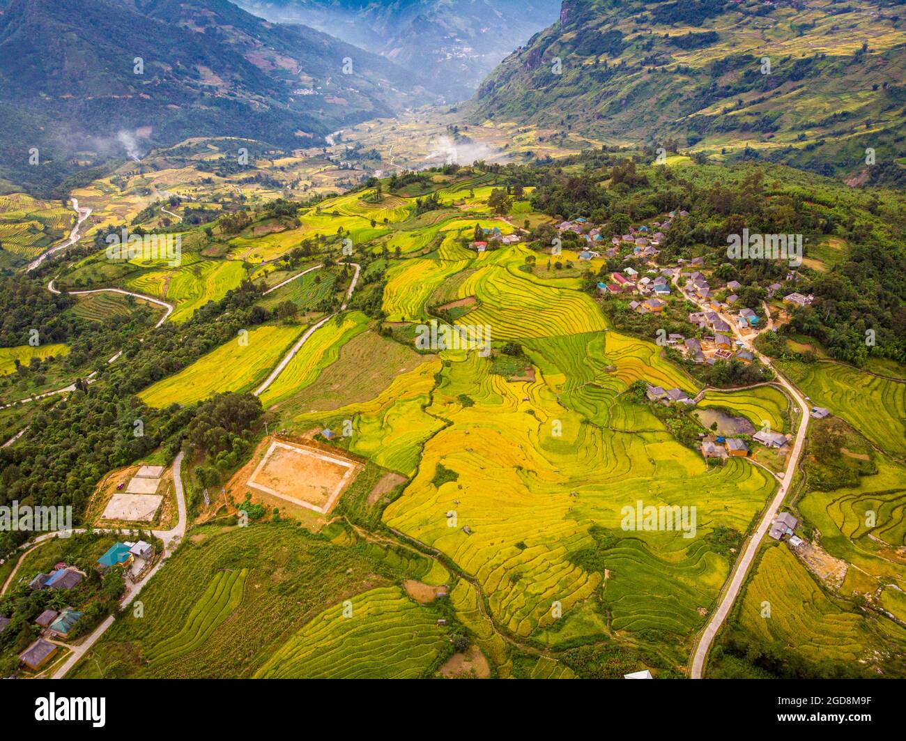 Y ty rice field hi-res stock photography and images - Alamy