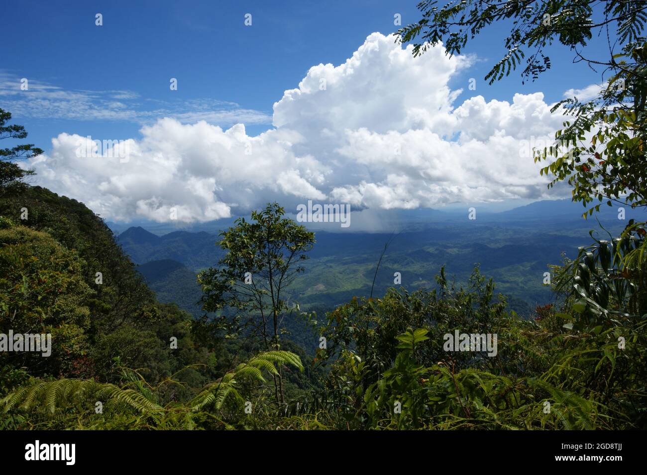 Rain falling from clouds over Kalimantan, view from Mount Penrissen ...