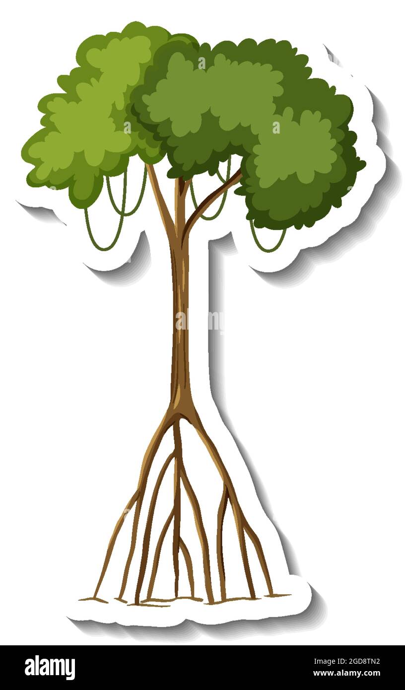 Sticker mangrove tree on white background illustration Stock Vector ...