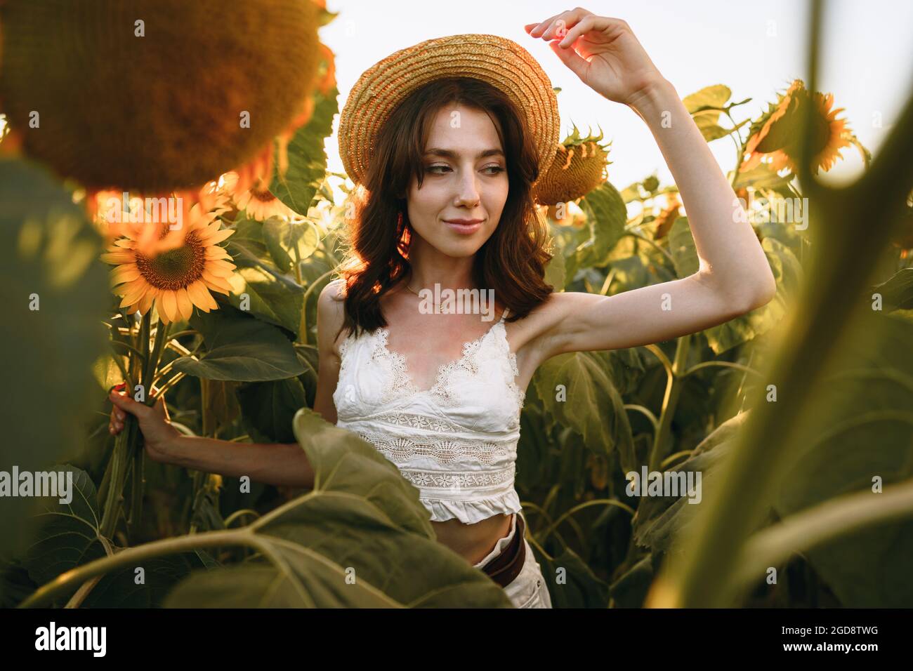 Smiling woman wearing a hat standing in a field of sunflowers in sunset ...