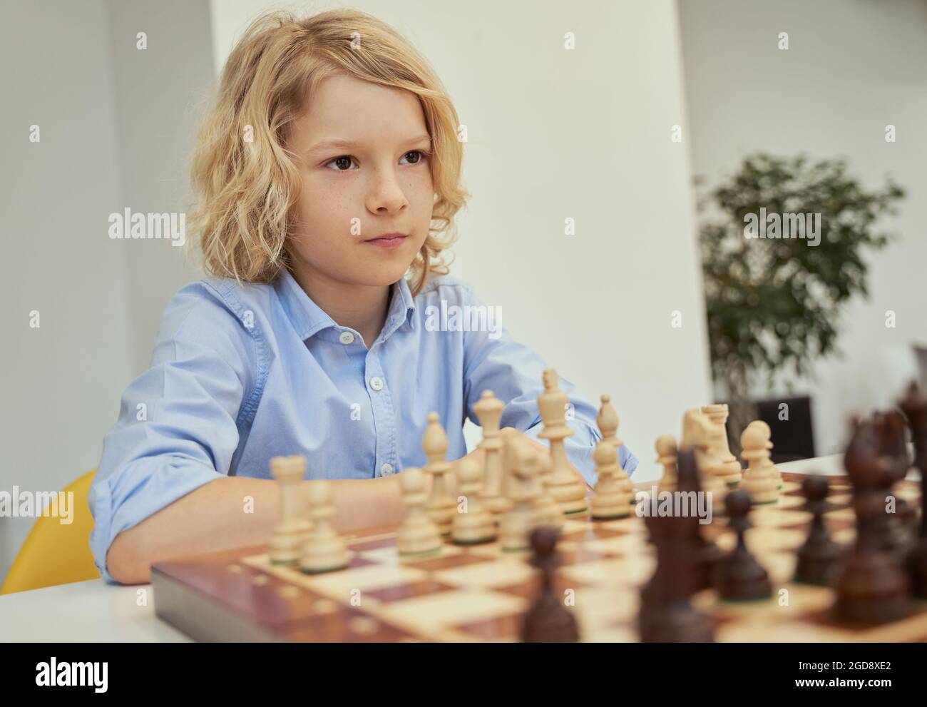 Portrait of calm caucasian boy in blue shirt sitting in the classroom ...