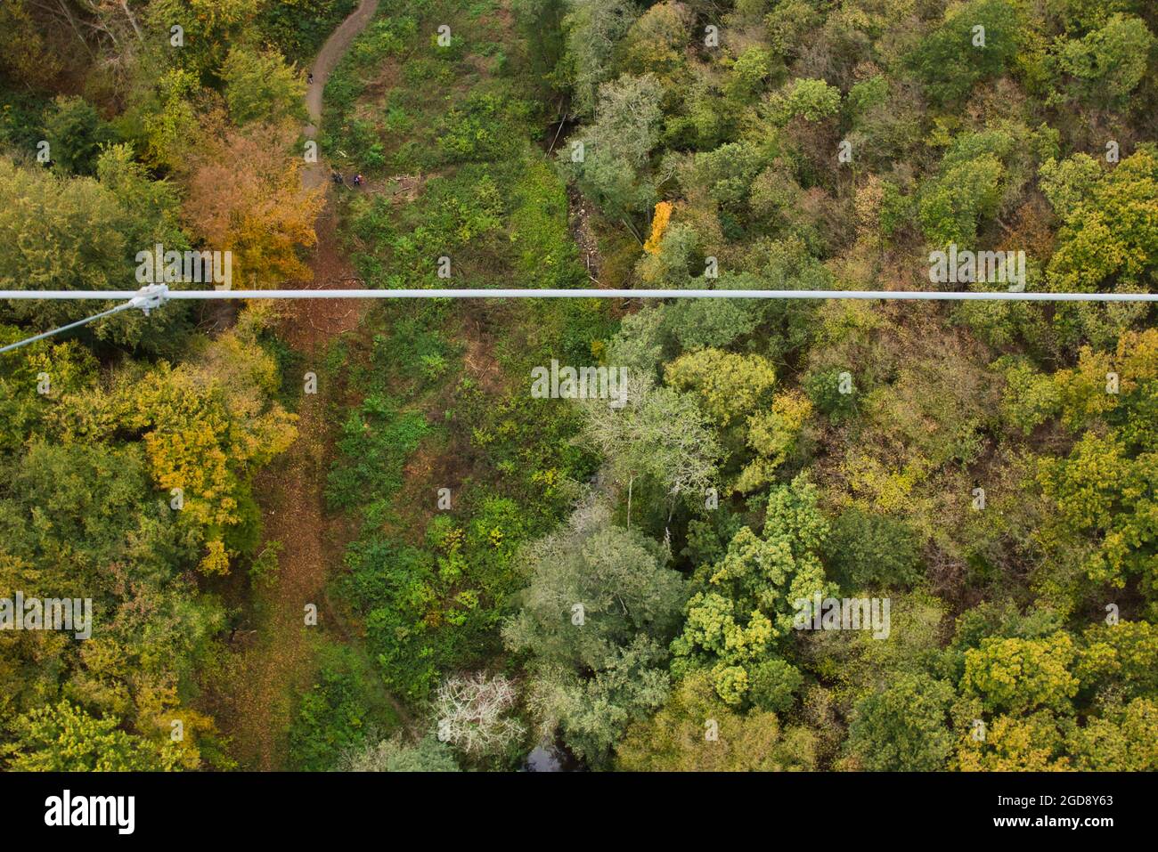 Cable on the Geierlay Suspension Bridge in Germany above hiking trails ...