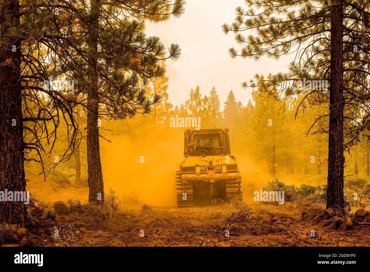 A bulldozer working to build a fire containment line. The Dixie fire ...