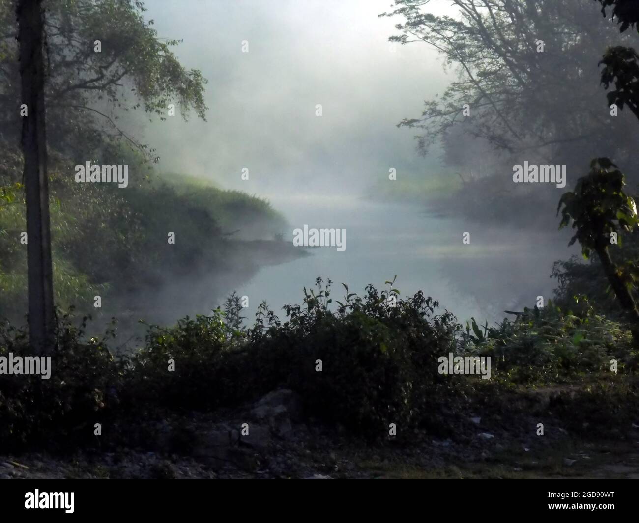 misty morning near a stream Stock Photo - Alamy