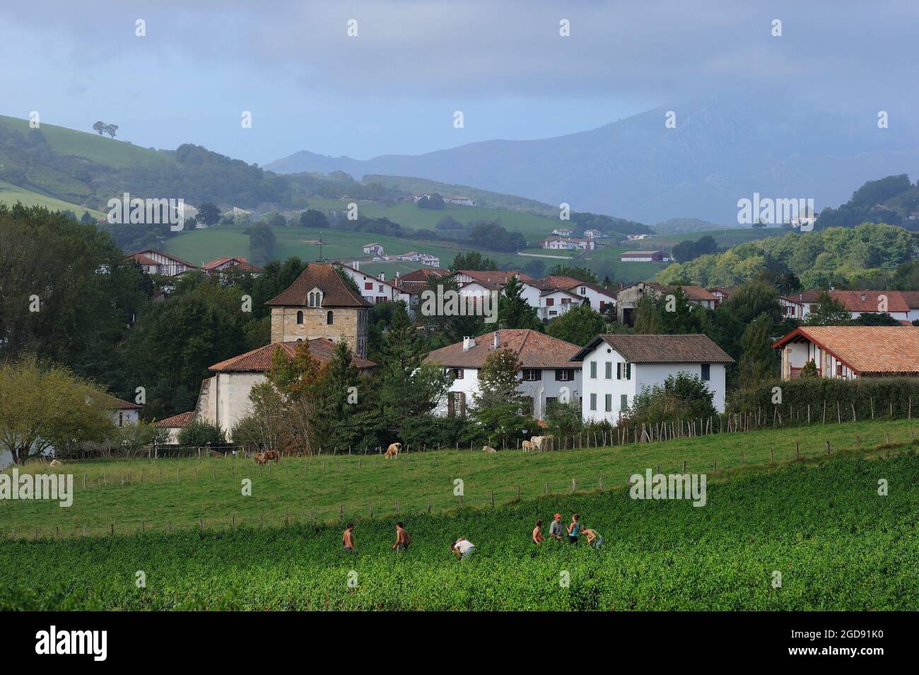 Village of espelette hi-res stock photography and images - Alamy