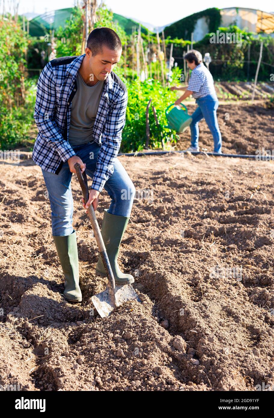 Man digging soil in backyard man hi-res stock photography and images ...