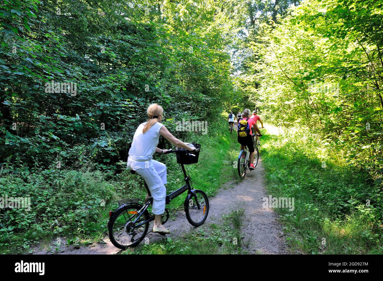 FRANCE, YVELINES (78) SAINT-GERMAIN-EN-LAYE, BIKE RIDE IN THE FOREST OF SAINT-GERMAIN Stock ...