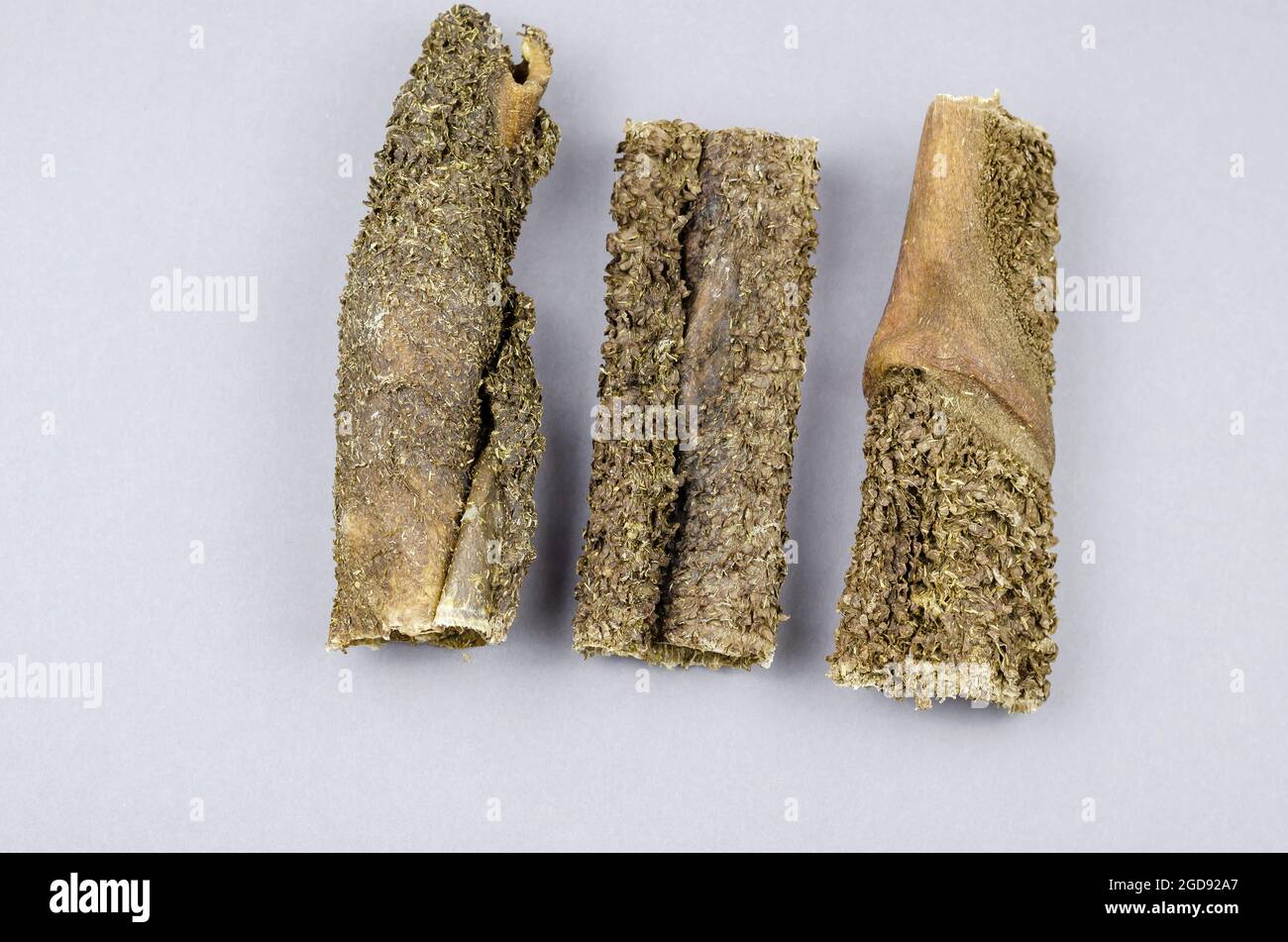 Macro shot of three sticks of the dried beef stomach on gray background ...