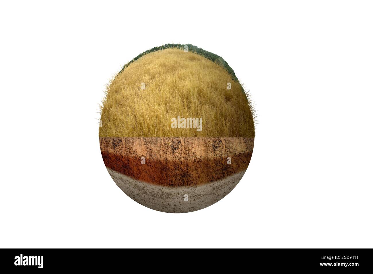 Underground soil layer of cross-section earth with savanna on the top ...