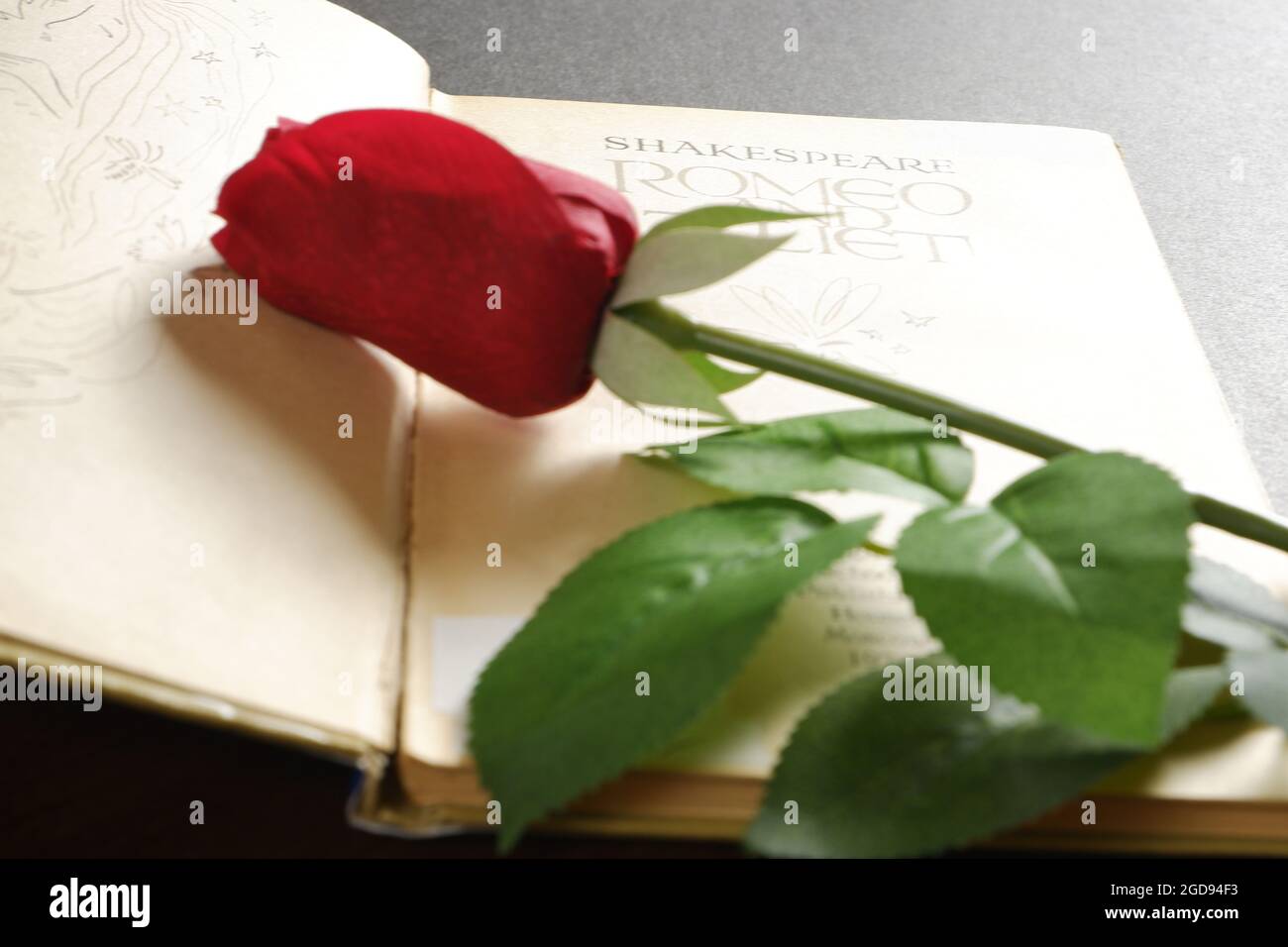 Red Rose and an Opened Shakespeare Book Stock Photo - Alamy