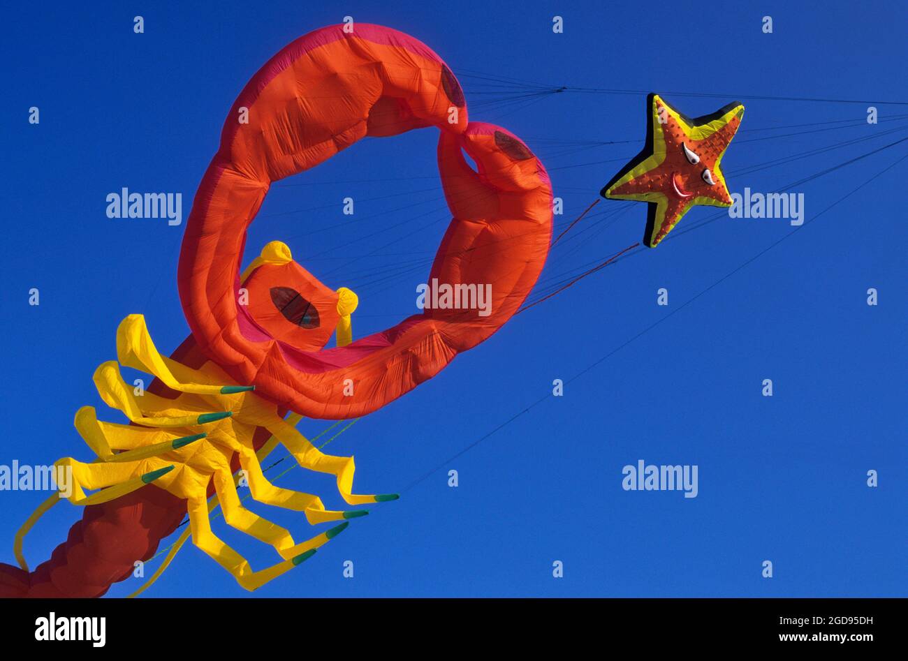 Zimmerman hi-res stock photography and images - Alamy