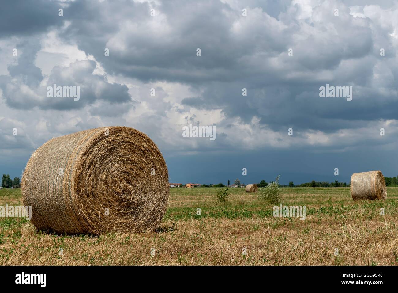 Big round bales of hay in the Tuscan countryside, Italy, under a ...