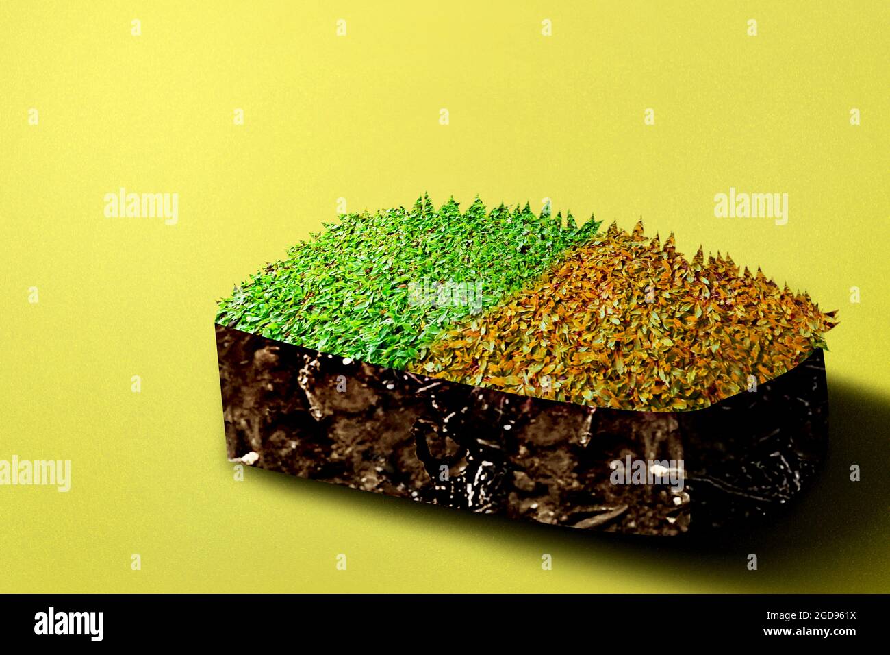 Underground soil layer of cross-section earth with meadow with ...