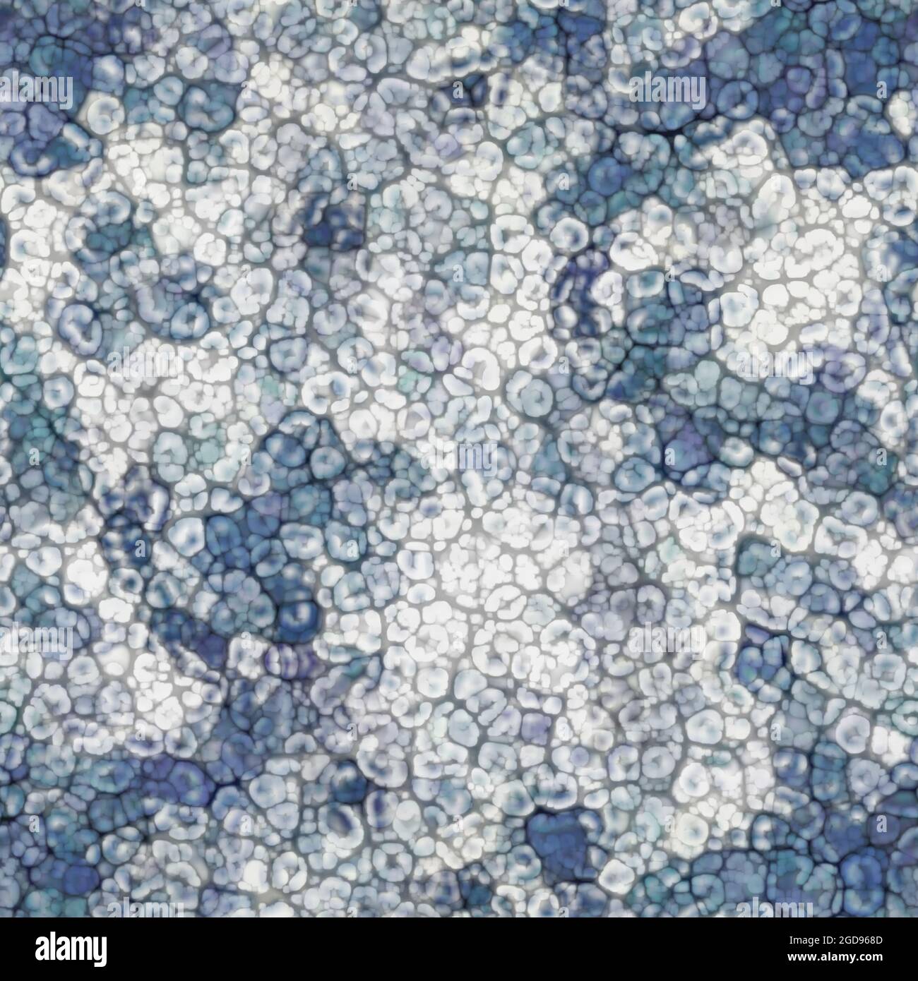 Lichen, Mushroom, Fungus family of different colors as organic seamless ...