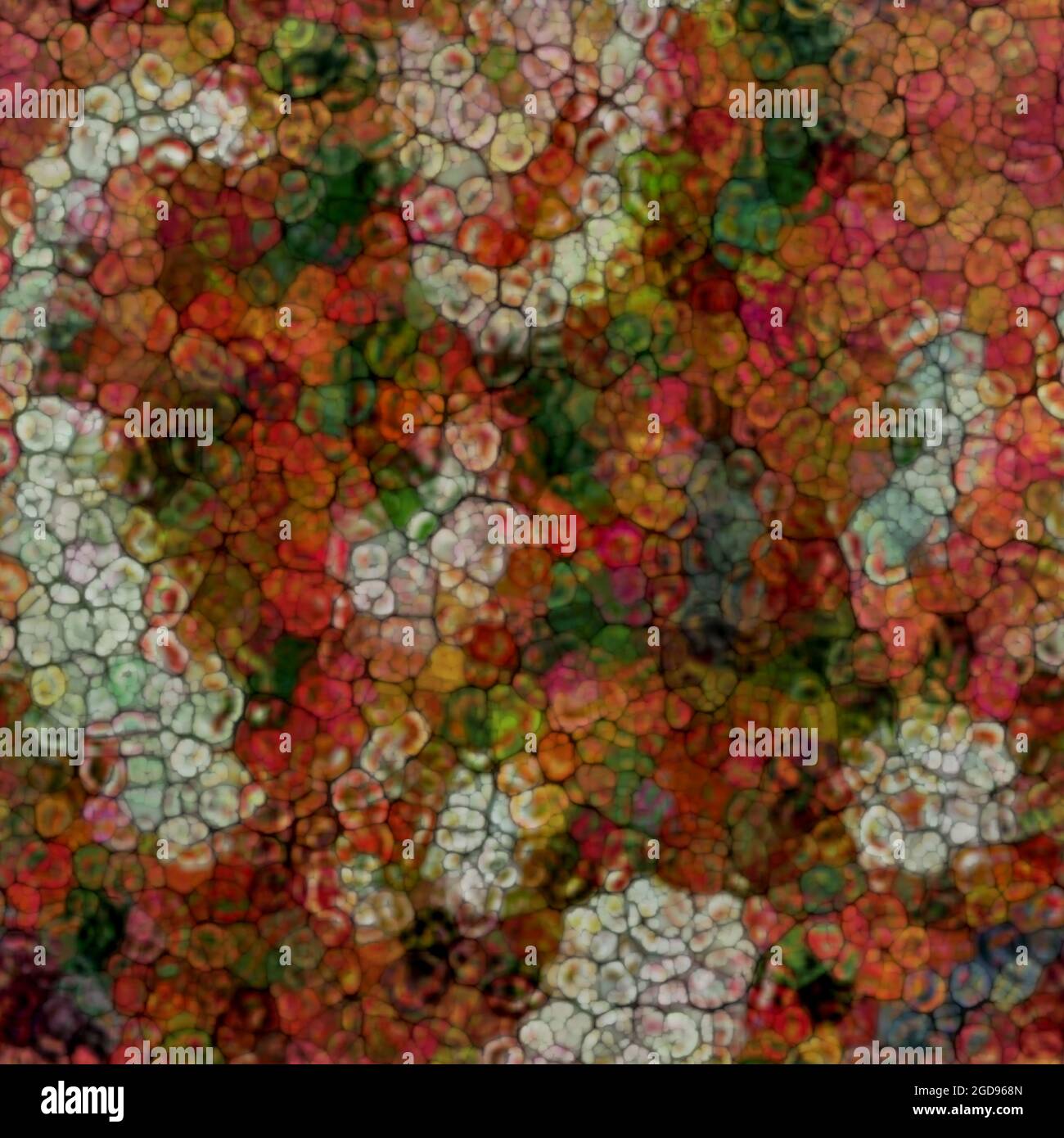 Lichen, Mushroom, Fungus family of different colors as organic seamless ...