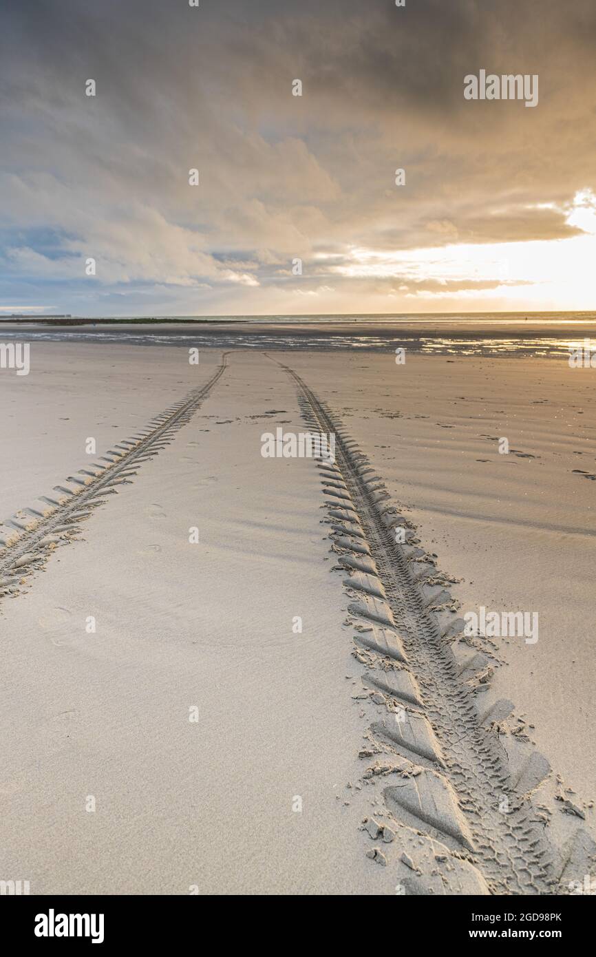 Gear trace on the sand Stock Photo - Alamy